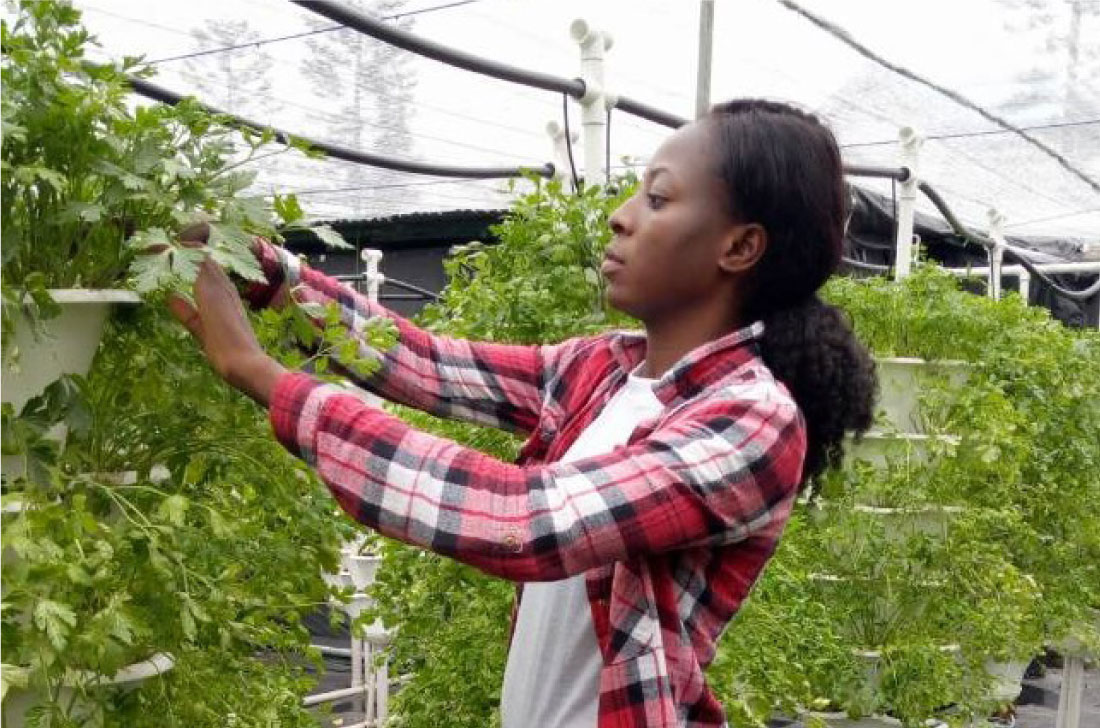 Module 8 - Design your adaptation action - Toolkit for Youth on ...